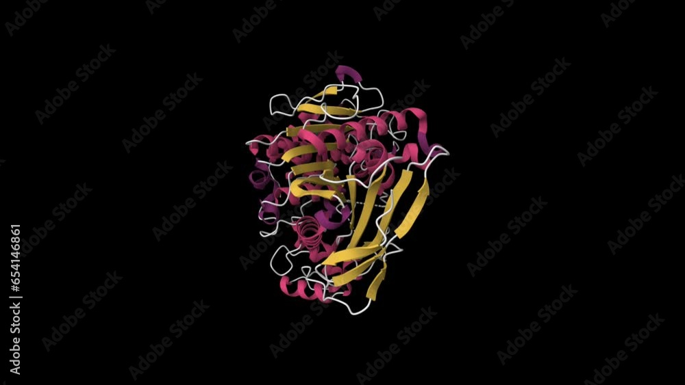 Crystal structure of native recombinant human bile salt activated ...
