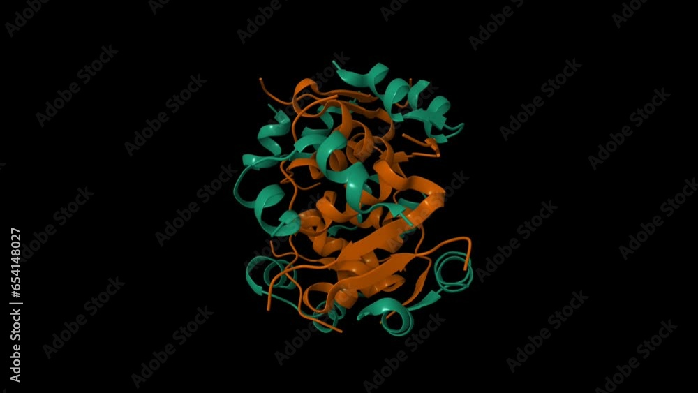 Structure of native human insulin oligomer. Animated 3D cartoon and ...