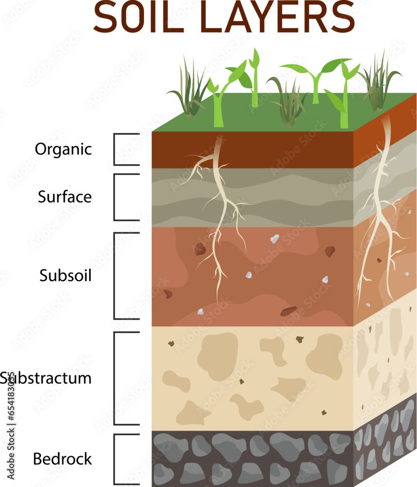 Vetor De Soil Layers Diagram Vector Illustration Humus Soil Layer Vetor De Soil Layers Diagram Vector Illustration Humus Soil Layer