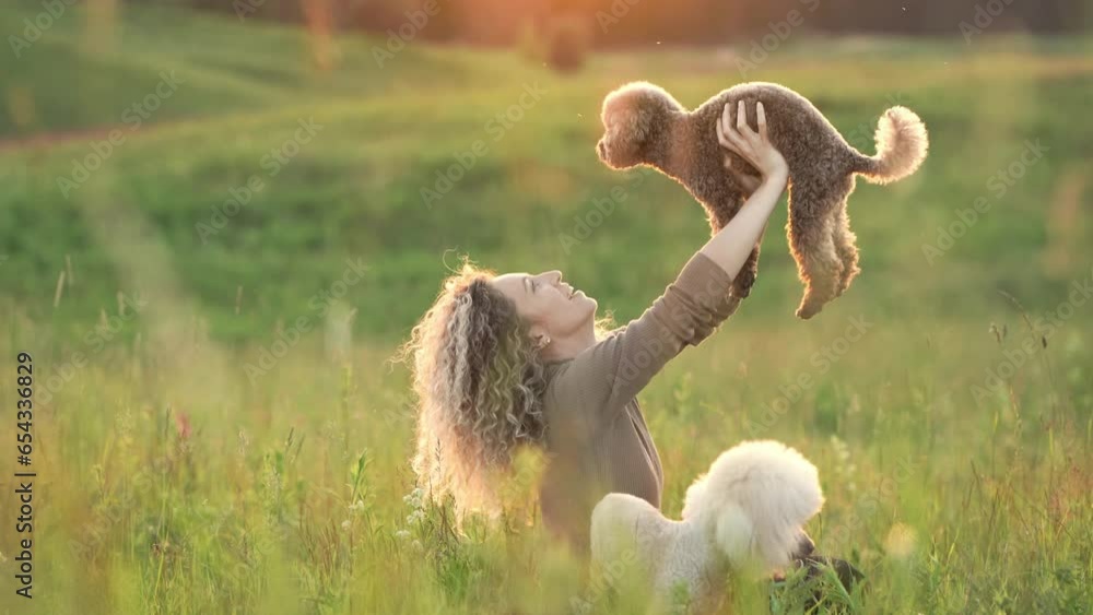 curly girl with two little dogs against the backdrop of sunset. Woman ...