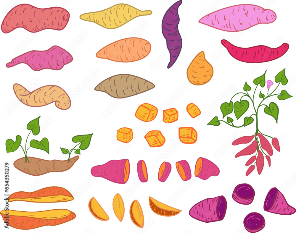Sweet potato in flat cartoon style. Set design elements for health food ...