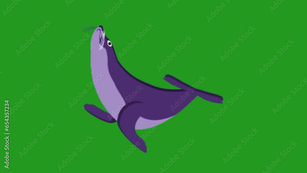 Cartoon seal animation, green screen background. Stock Video | Adobe Stock