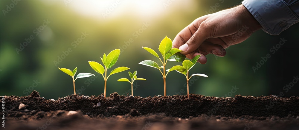 Sustainable business goals growth strategies sales performance new ...