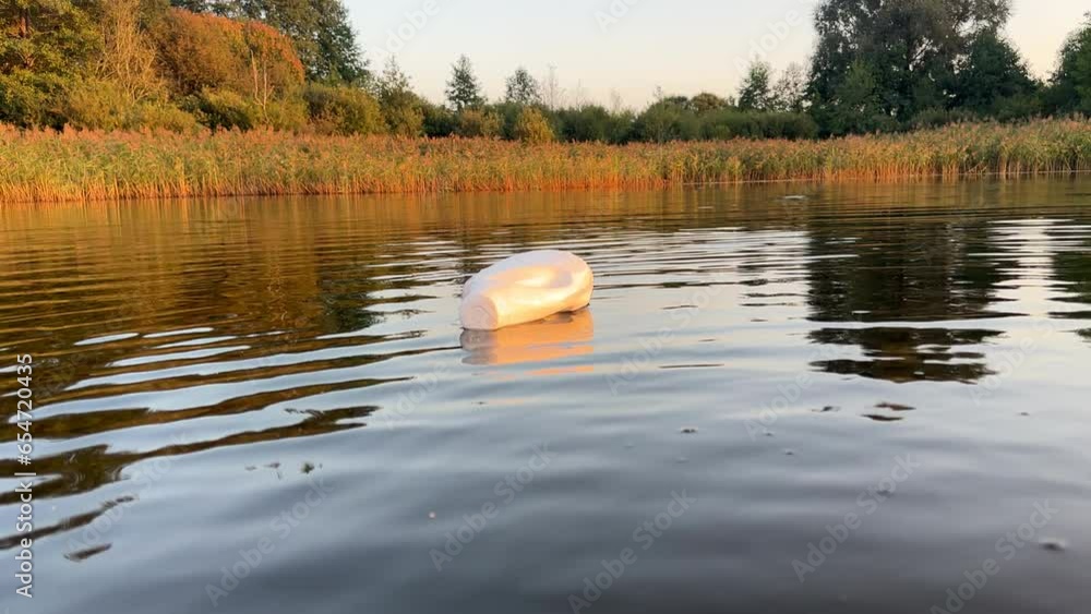 Plastic waste in lake water. Marine Plastic Pollution, Marine Debris ...