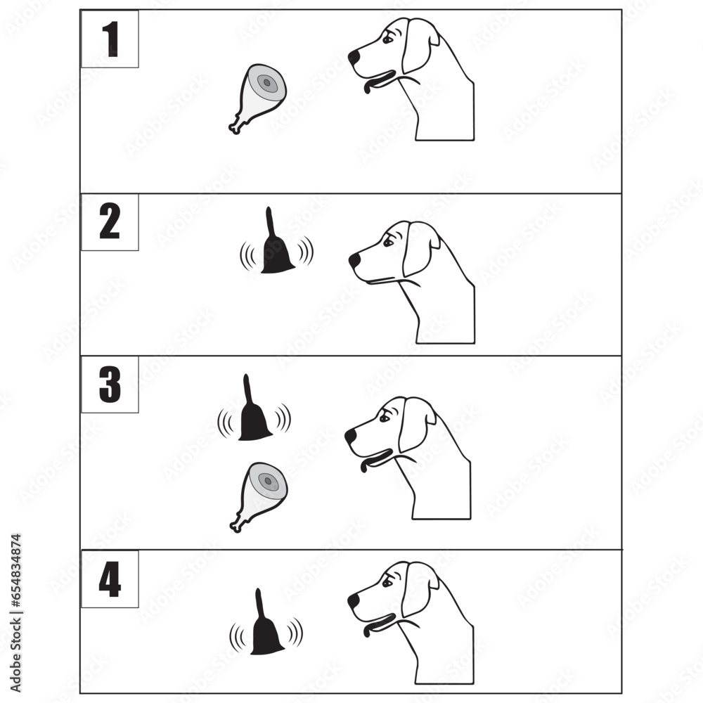 Pavlov's experiment on the dog, conditional mechanisms in educational ...