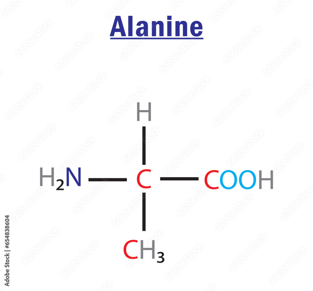 Alanine amino acid formula and structure. Chemical molecular formula of ...