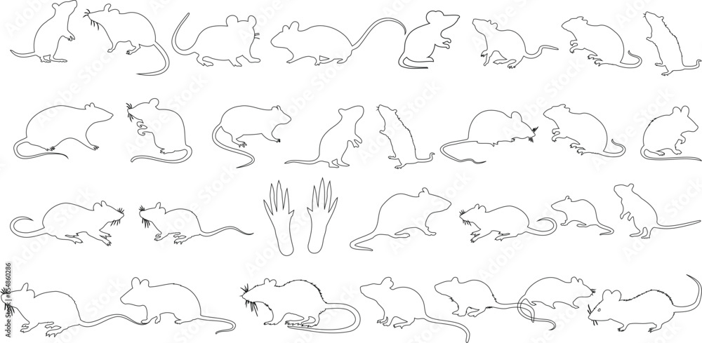 rats line icons vector illustration featuring 30 unique, black and ...