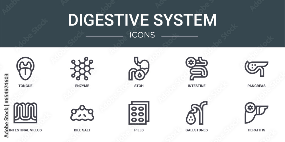 set of 10 outline web digestive system icons such as tongue, enzyme ...