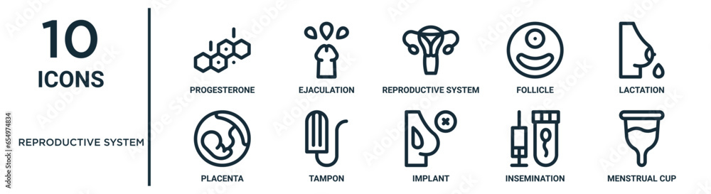 reproductive system outline icon set such as thin line progesterone, reproductive system ...