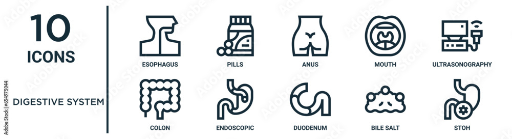 digestive system outline icon set such as thin line esophagus, anus ...