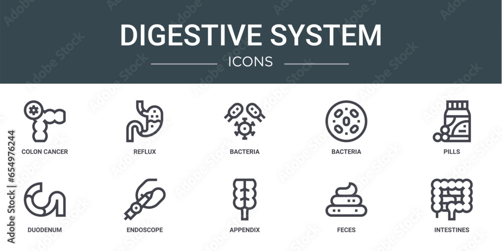 set of 10 outline web digestive system icons such as colon cancer ...