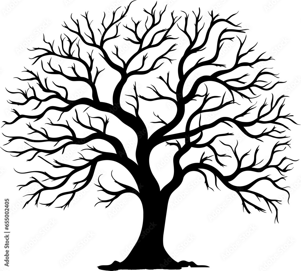 Silhouette of one wide massive old oak tree without leaves isolated ...