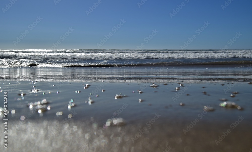 Pacific Ocean Coast in Chile: A stunning blend of rugged cliffs ...