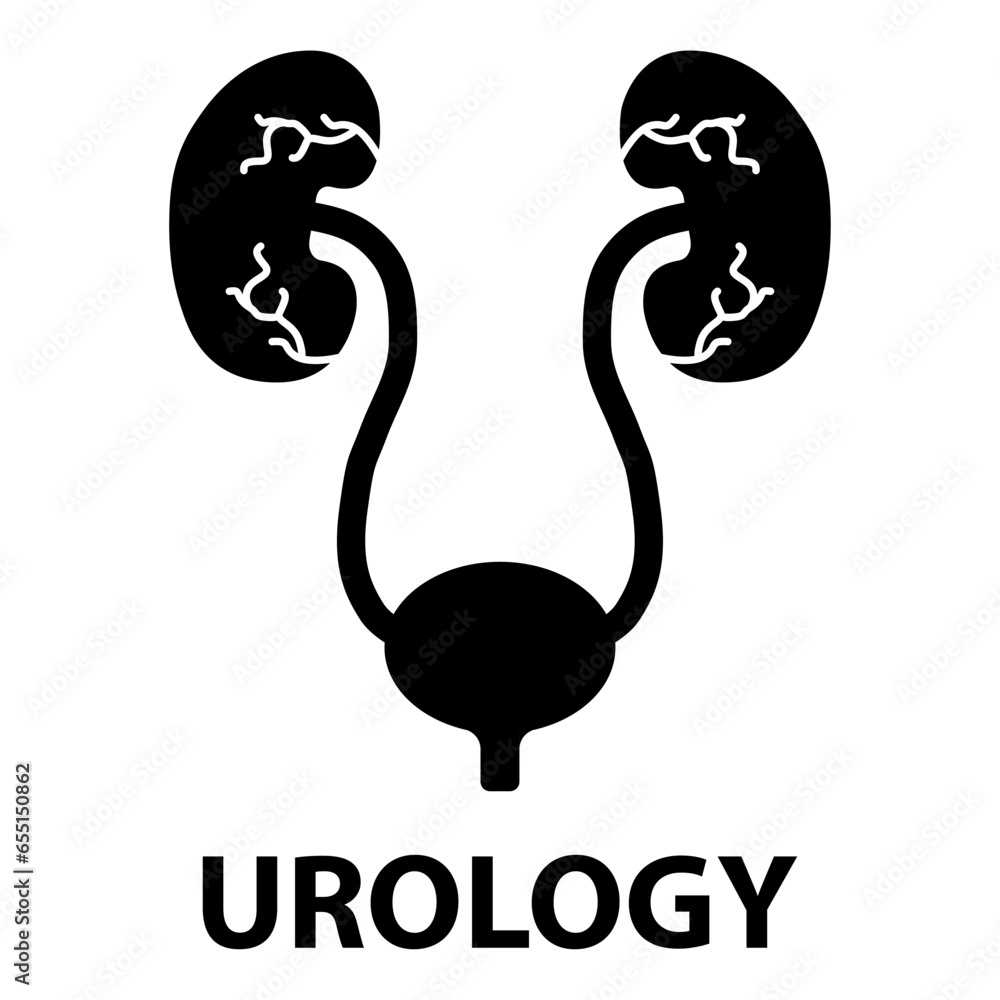 Urology health human icon, anatomy medical body bladder sign, biology ...