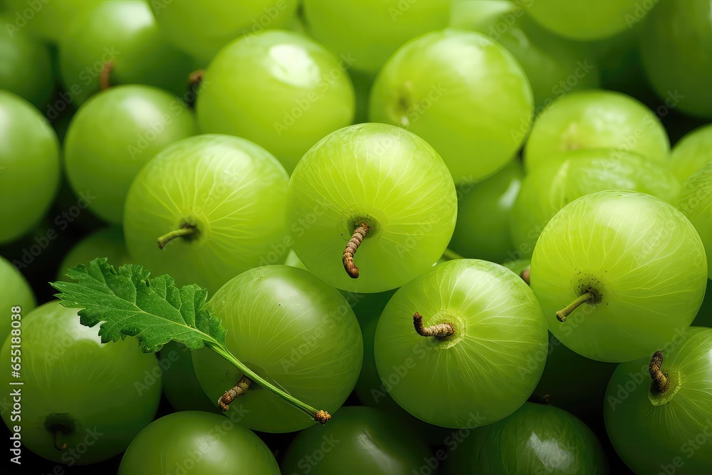 Amla Background. Сoncept Benefits Of Amla, Traditional Uses Of Amla ...