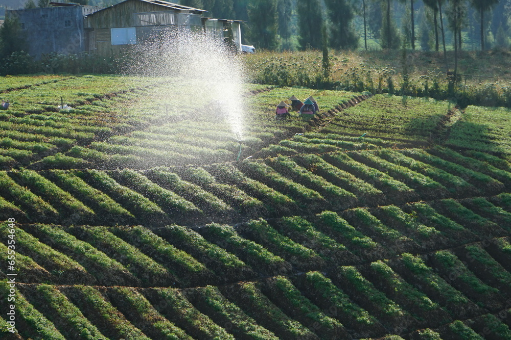 The beauty of Brakseng Hill is a natural tourist attraction located in ...