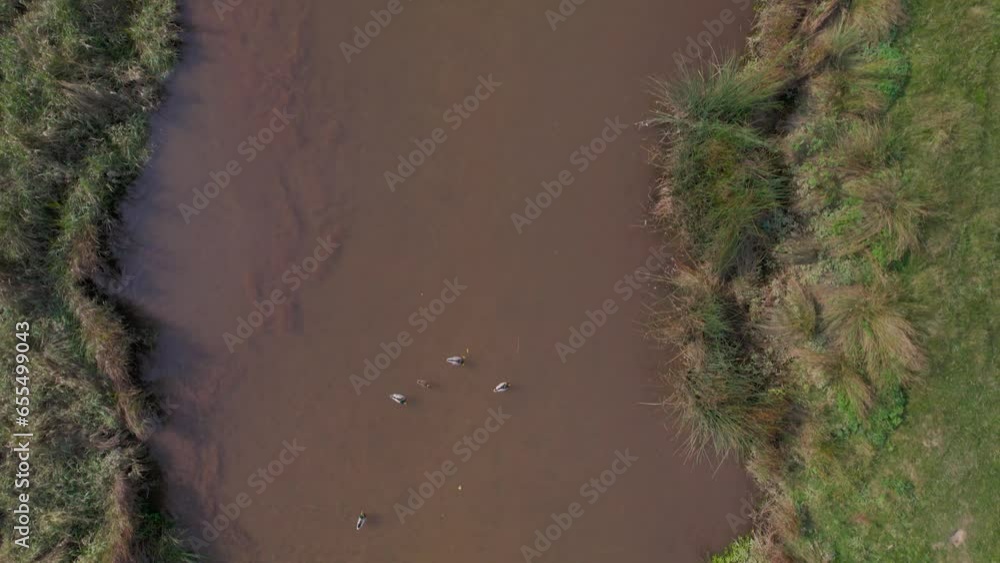 Top Down over River Kenn in Powderham Park from a drone, Powderham ...