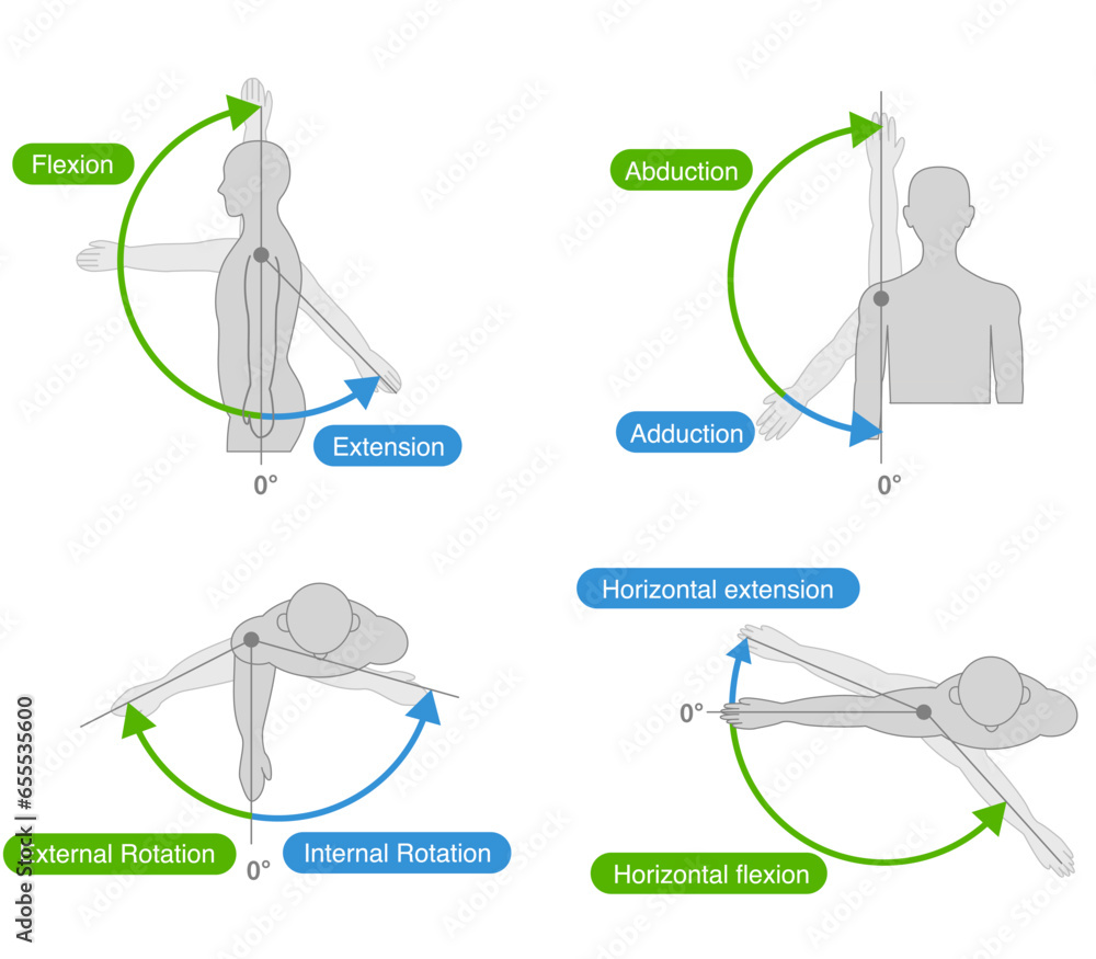 Poster Shoulder joint motion and direction of motion – Wall Art | UkPosters