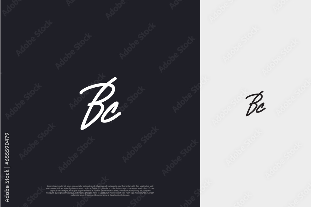 Initial Letter BS Logo signature style monogram typography for business ...