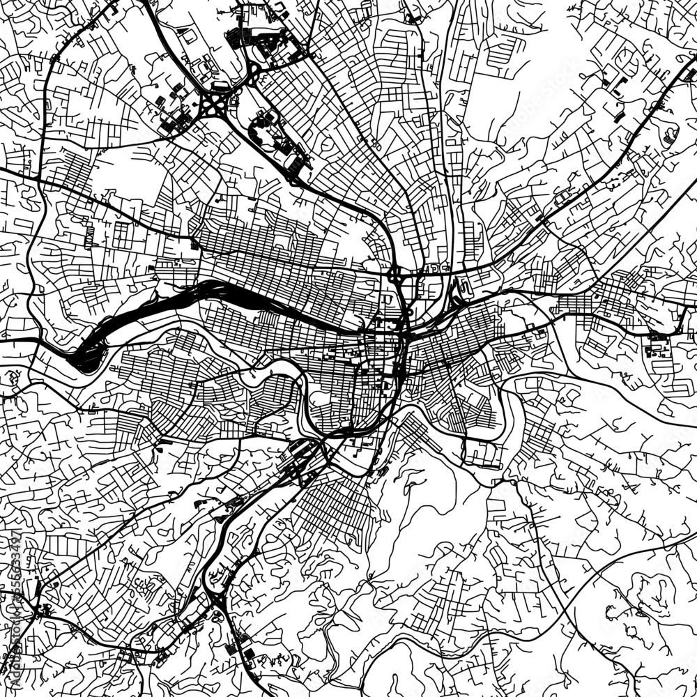 1:1 square aspect ratio vector road map of the city of Roanoke Virginia ...