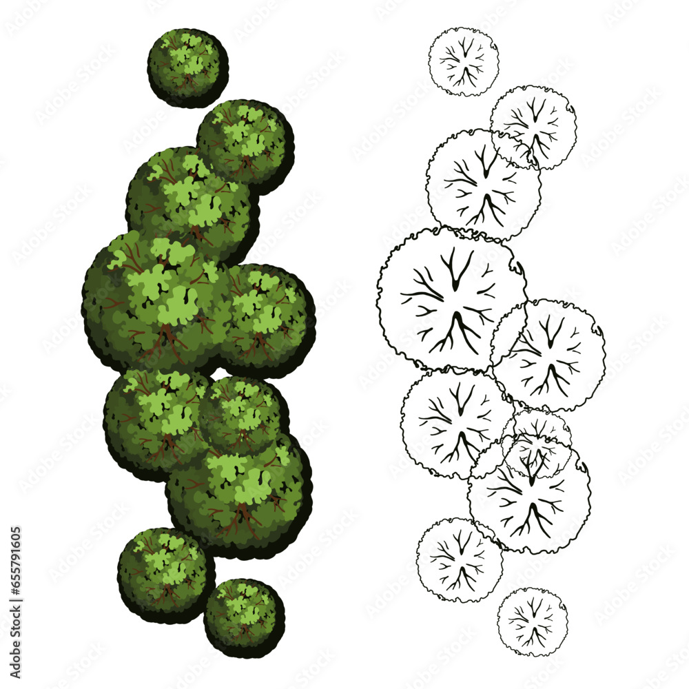 Group of trees for architectural floor plans. Entourage design. Various ...