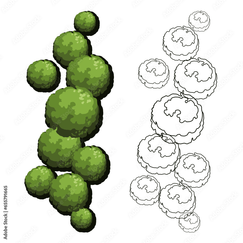 Trees for the master plan. Tree for architectural floor plans ...