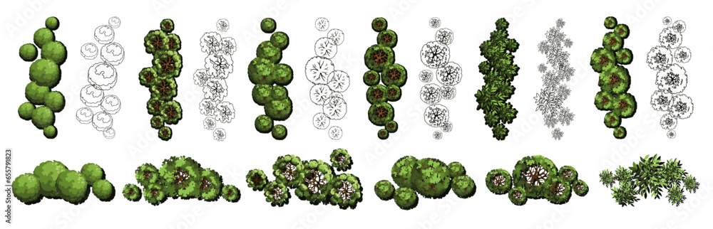 Group of trees for architectural floor plans. Entourage design. Various ...