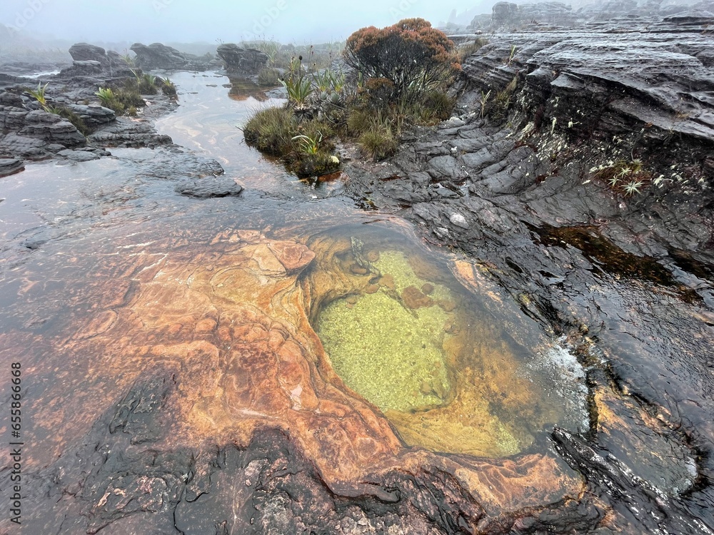 Surreal natural pools on top of table Mount Roraima, Venezuela, Canaima ...