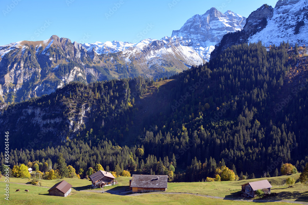 Blick von der Alp Gitschenen bei Isenthal auf das Urirotstock Massiv ...