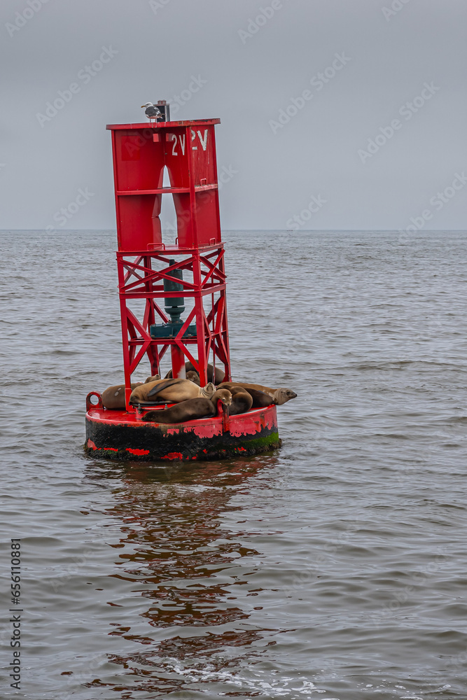 Santa Cruz Island, Ca, USA - September 14, 2023: Portrait, Red beacon ...