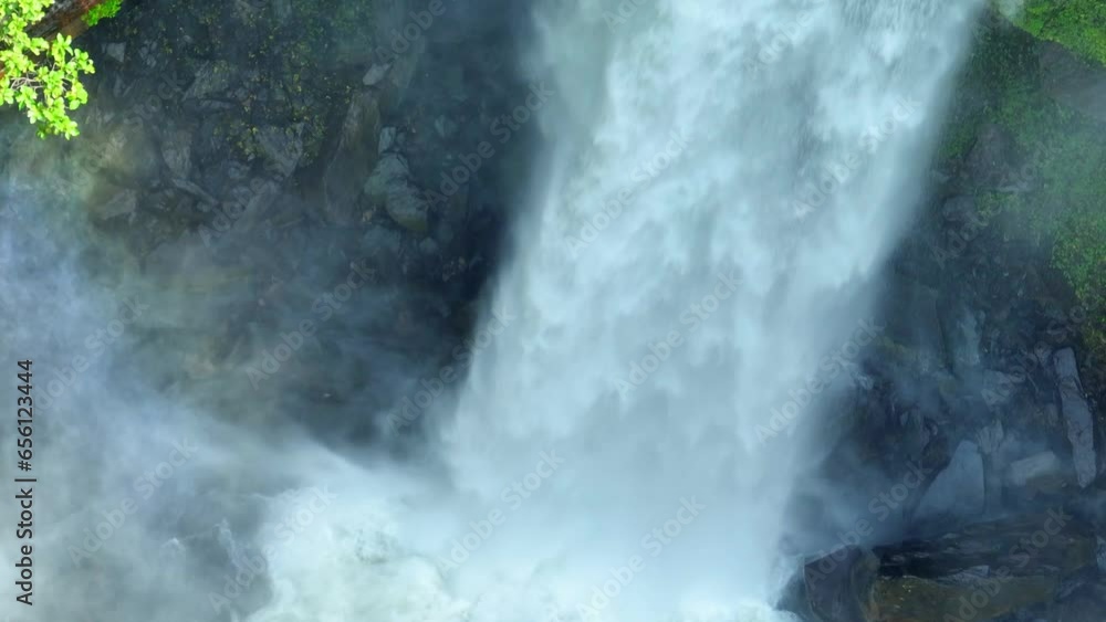 Video Stock Dive into the heart of the jungle, where a colossal ...