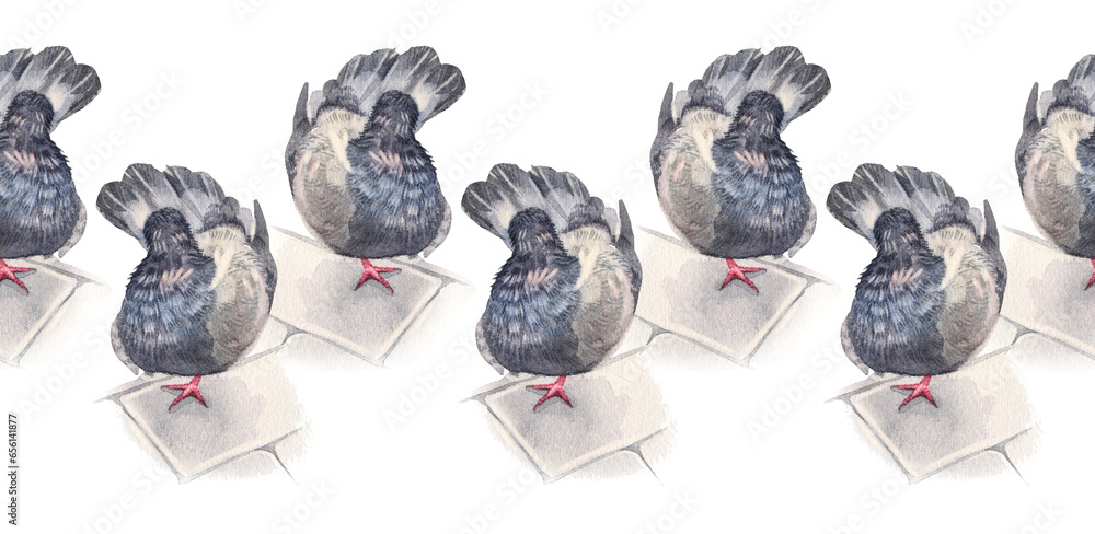 Seamless rim watercolor gray bird dove on white background. Hand-drawn ...