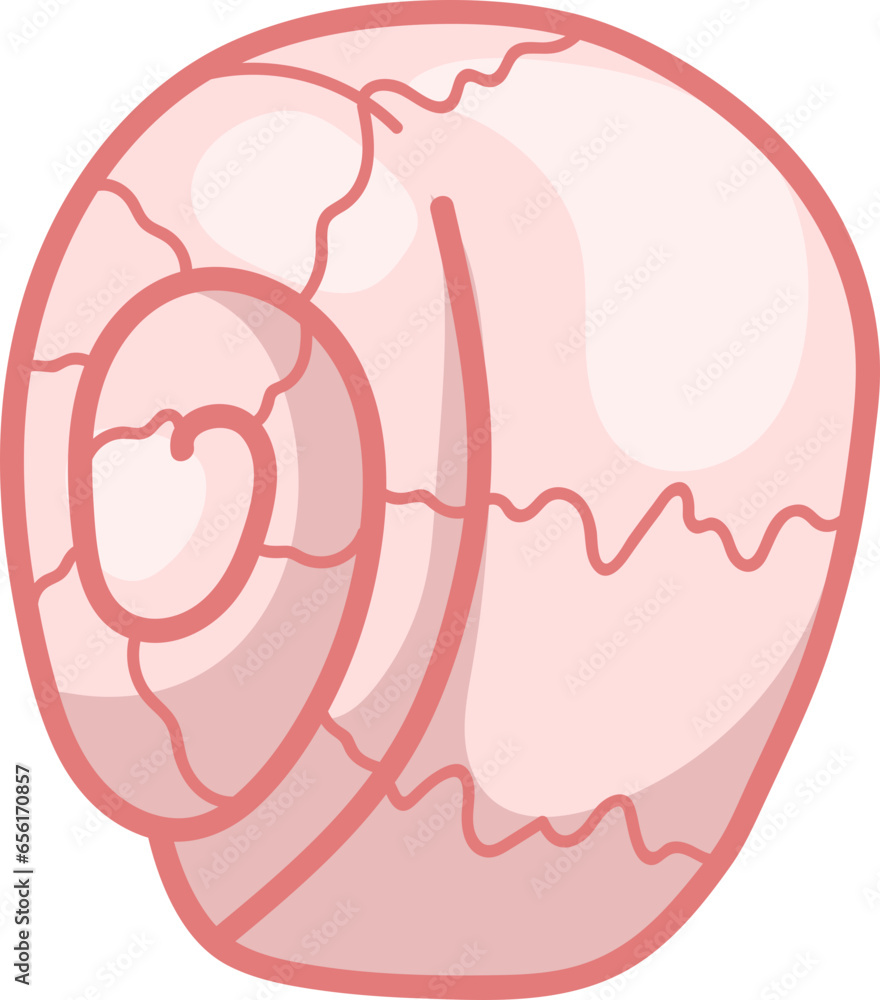 pink seashell svg illustration, seashell illustration isolated clip-art ...