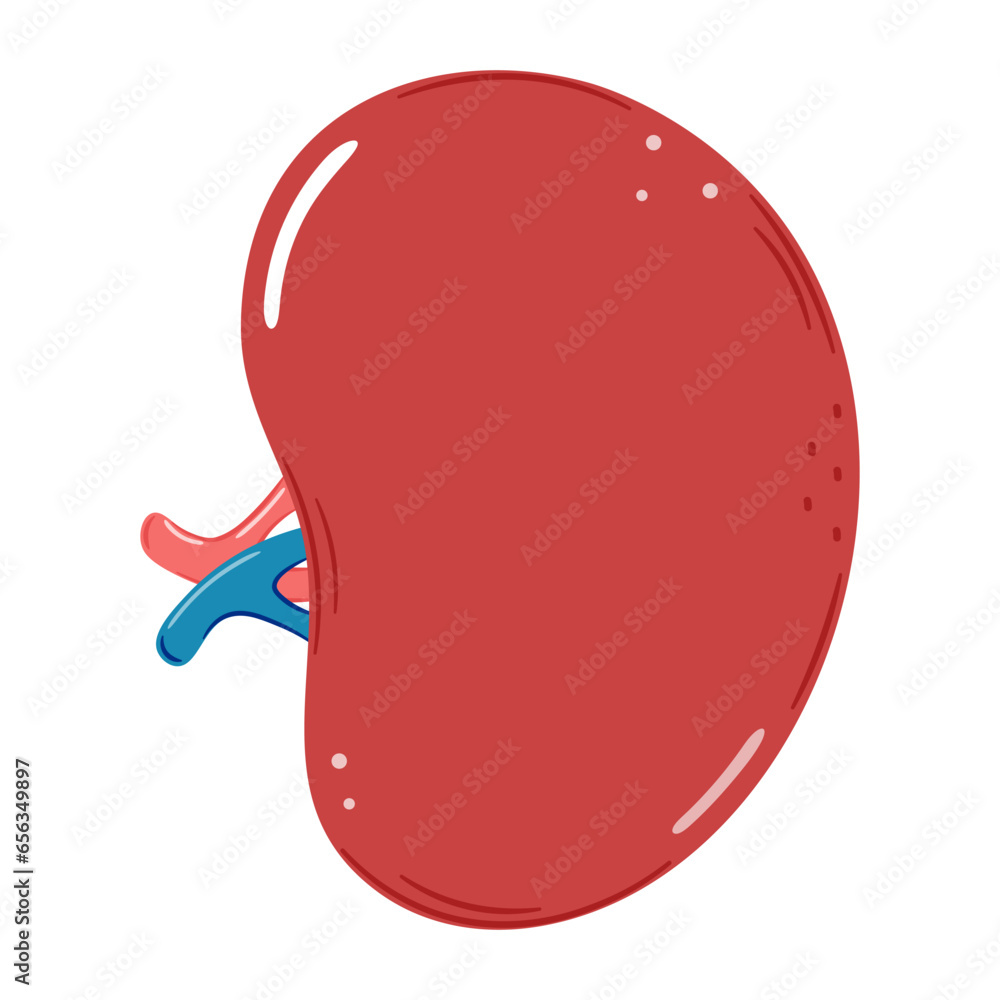 Spleen organ character. Vector hand drawn cartoon kawaii character ...