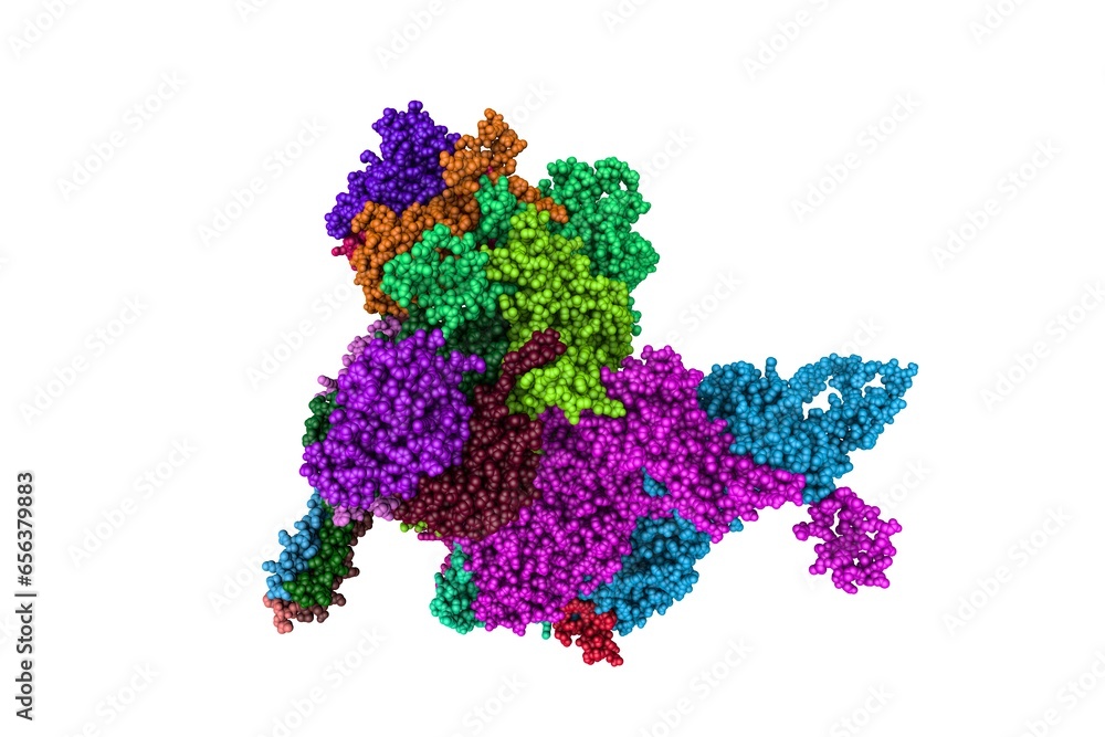 Kaposi's sarcoma-associated herpesvirus, C5 portal vertex structure ...