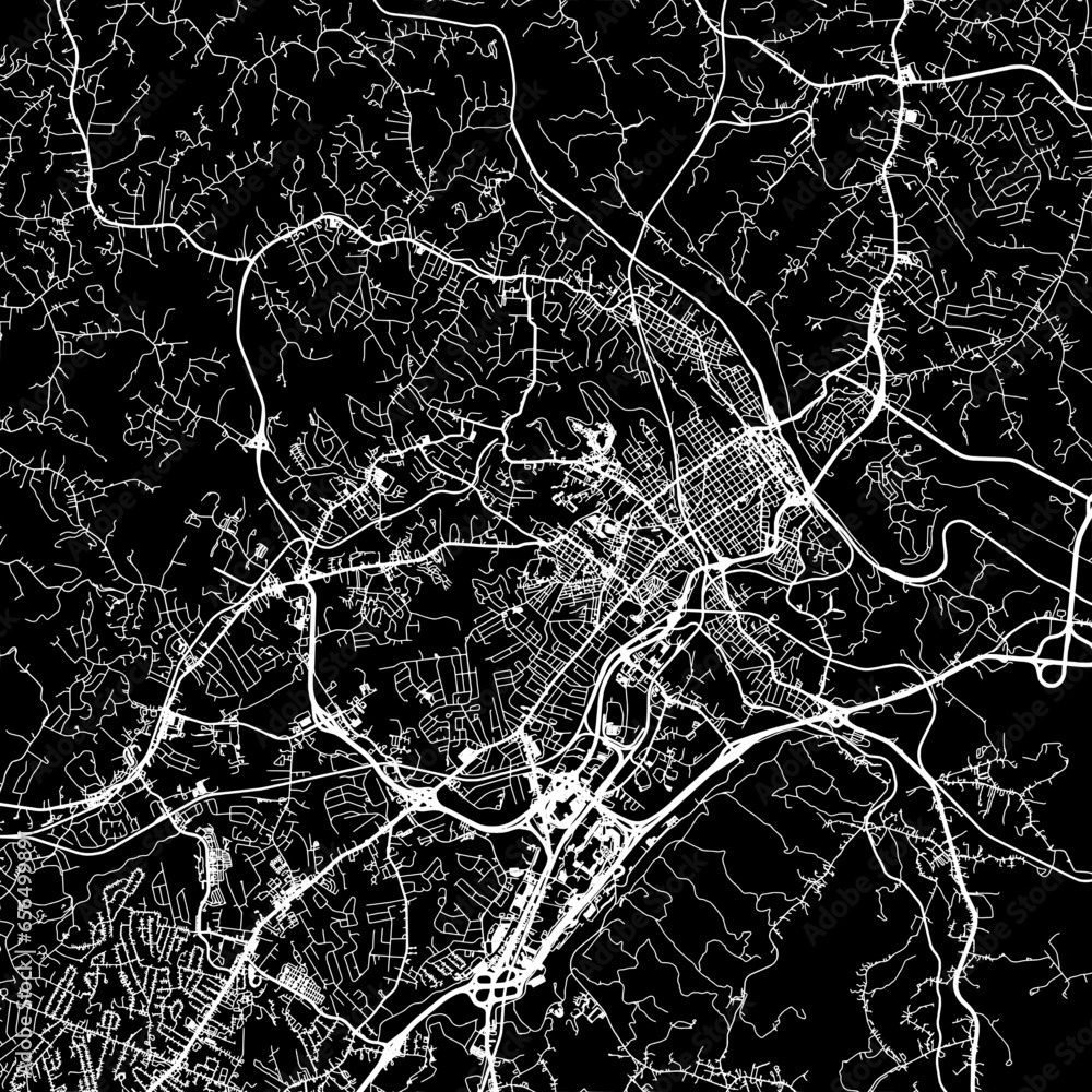 1:1 square aspect ratio vector road map of the city of Lynchburg ...