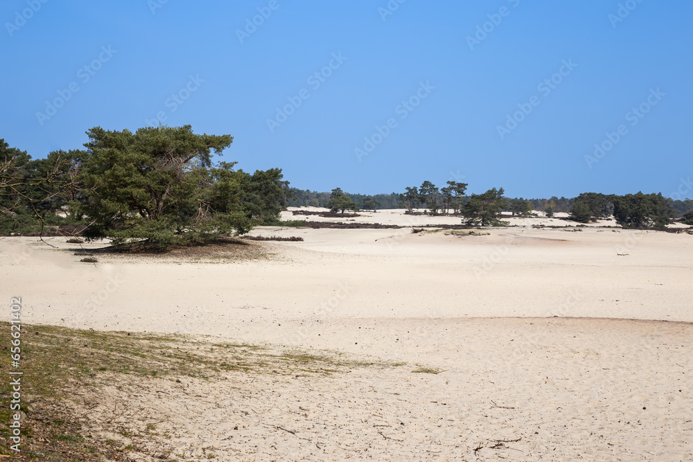 Soesterduinen nature reserve, formed by advancing land ice in the ...