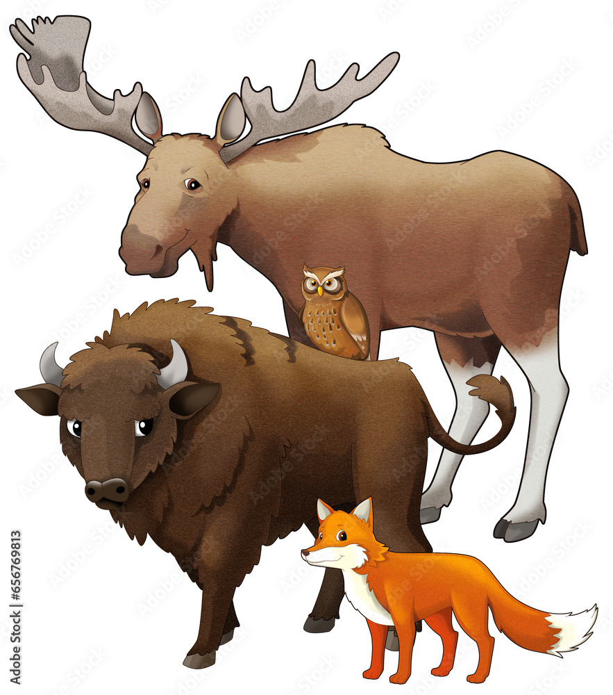 Cartoon wild animal bison aurochs and fox isolated illustration for ...