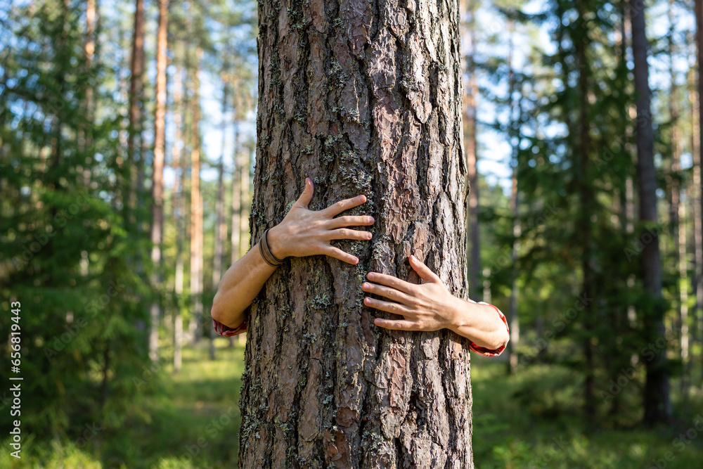 Hands embrace trees in forest for feels natural energy. Ecology concept ...