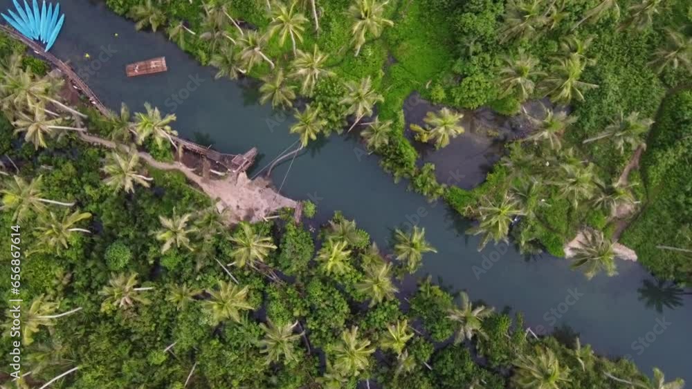 Palm tree swing of the leaning bent coconut at Maasin river with diving ...