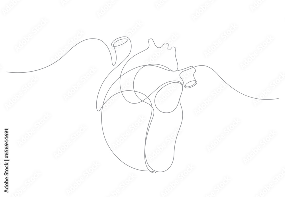 human heart organ one line drawing vector illustration Stock Vector ...