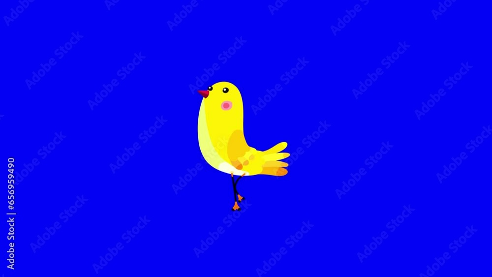 Canary bird yellow cartoon animation character bluebox start walking ...