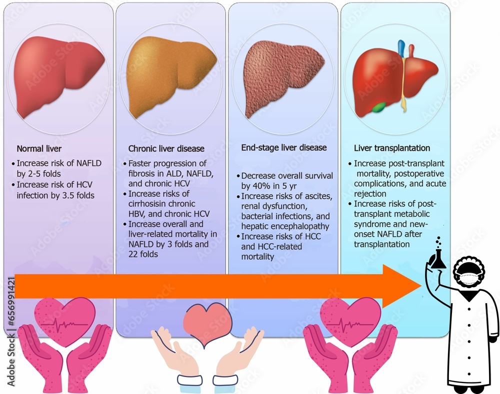 Clinical Anatomy Diagram Human Body. Cervical radiulopathy as painful ...