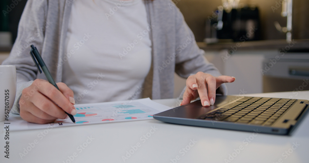Female typing on keyboard and records the financial report in work ...
