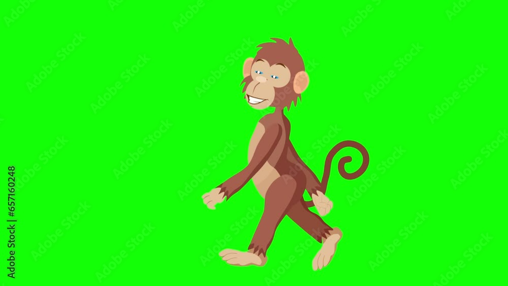 Cartoon funny monkey walking animation green screen Stock Video | Adobe ...