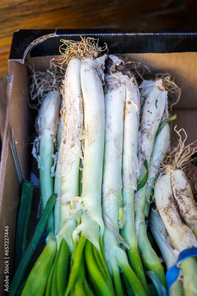 Calçots, a catalan young onions. In spring, when the cold is going away ...