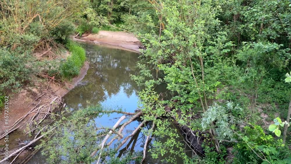 Wild river. River in forest in wildlife. Water supply. Small river in ...