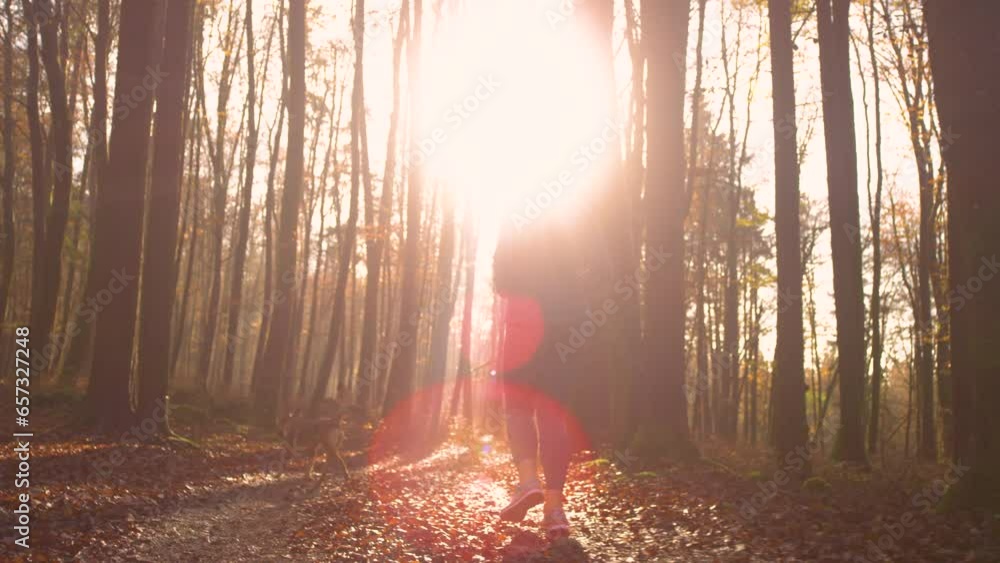 Vídeo do Stock: LENS FLARE: Athletic lady on morning run with her dog ...