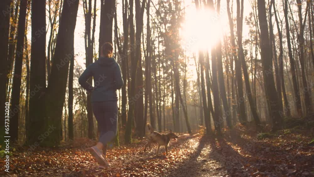 LENS FLARE: Sporty dog owner on an evening run with her pet in ...