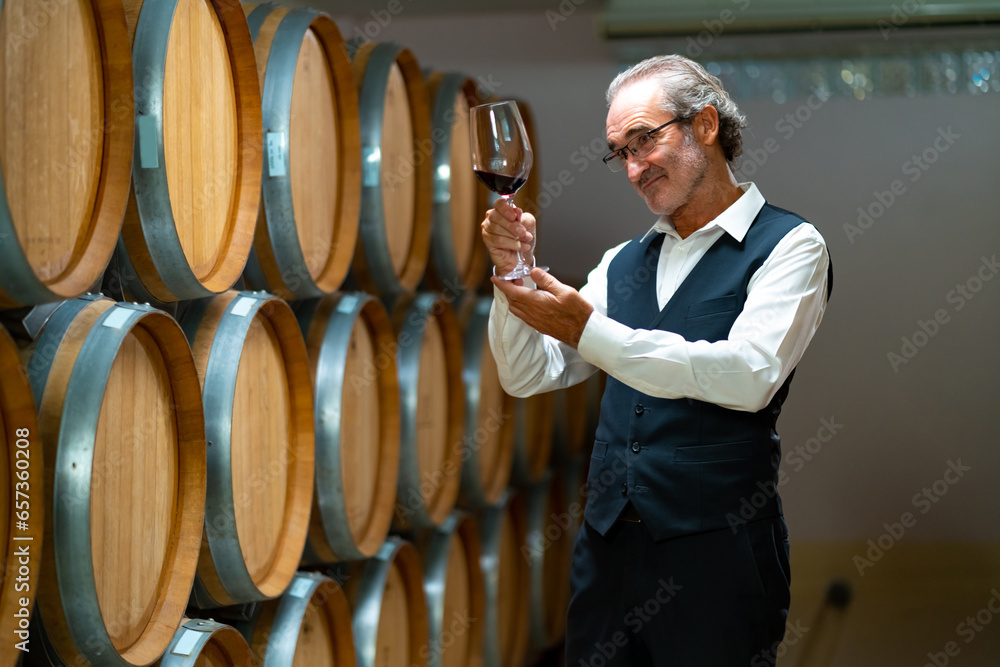 Professional man sommelier testing red wine in wine glass with tasting ...